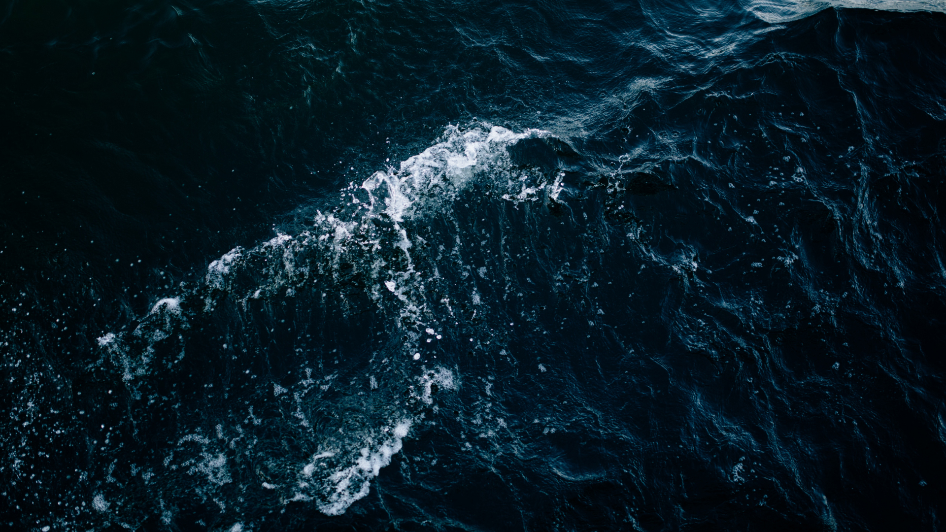 지구촌 기후 SSUL | 탄소중립 : 탄소중립 정책포털