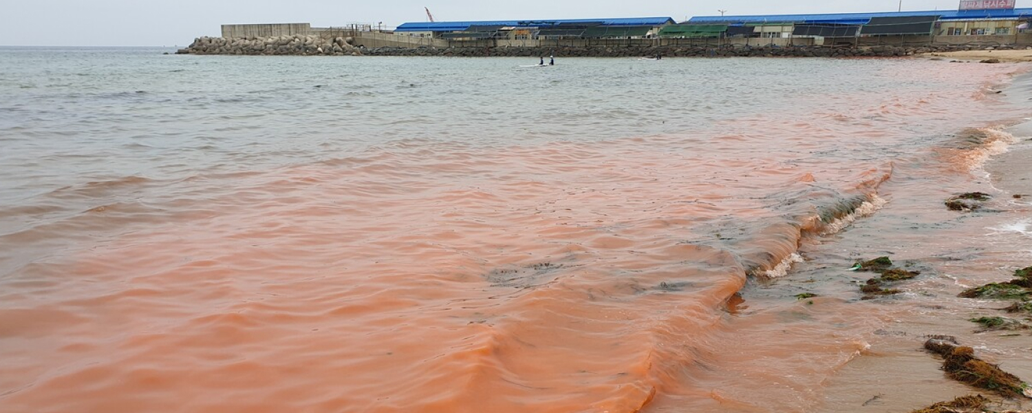 지구촌 기후 SSUL | 탄소중립 : 탄소중립 정책포털